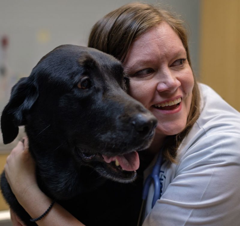 Physical Therapy For Pets Mount Pleasant SC | Shuler Vet