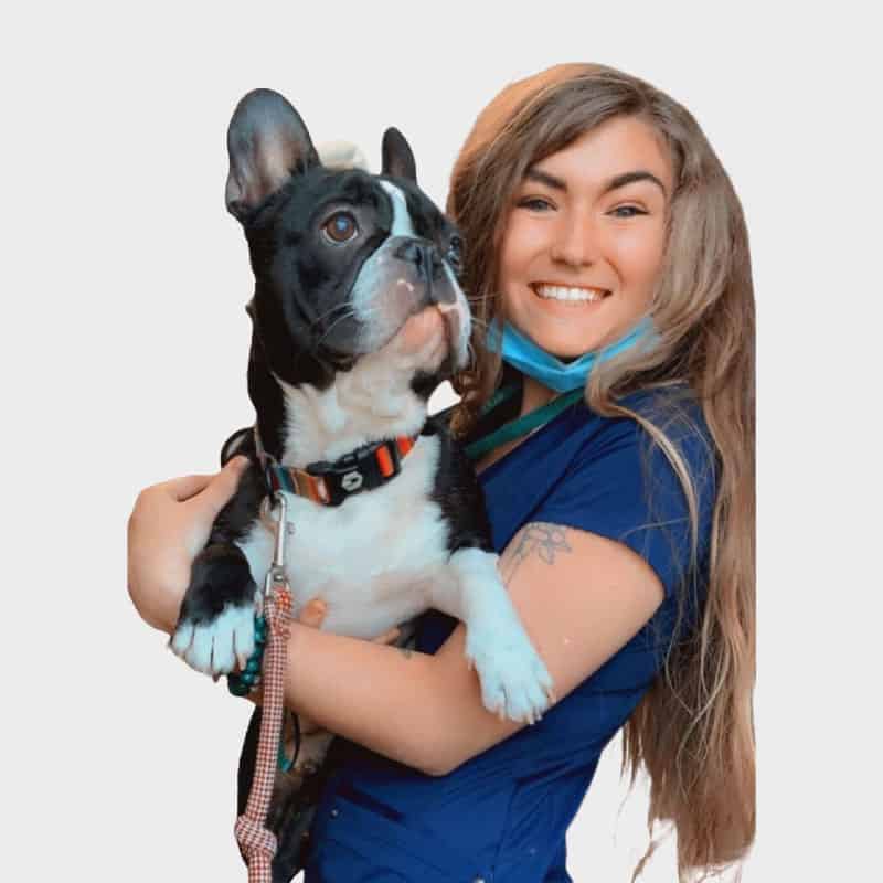 Team – Shuler Veterinary Clinic